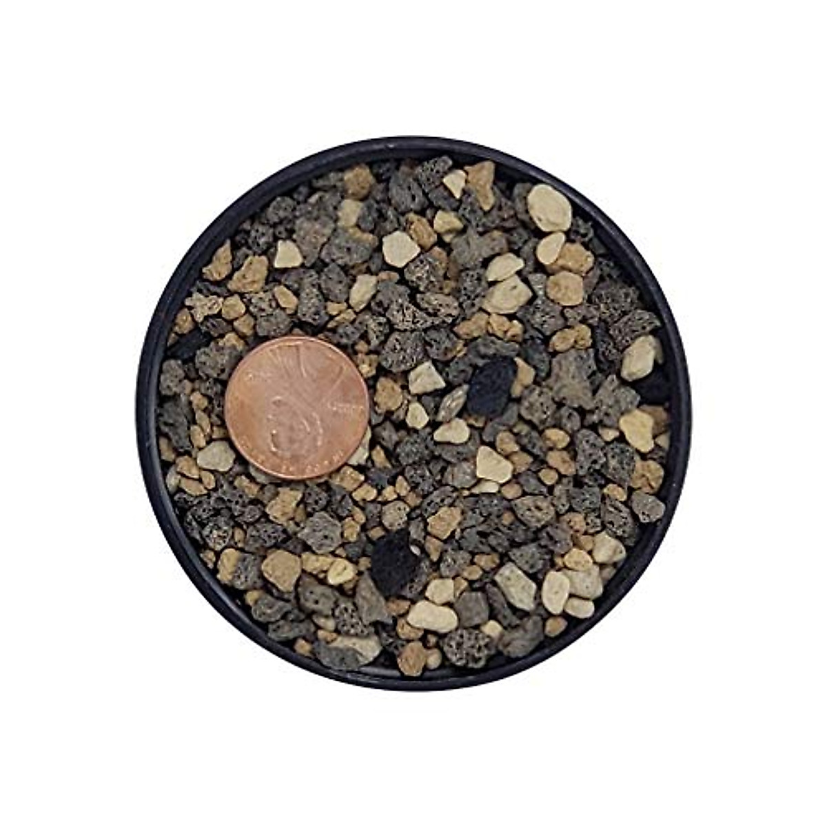 Bonsai Soil Mix - Premium Professional, All Purpose, Sifted and Ready to Use Tree Potting Blend in Easy Zip Bag - Akadama, Black Lava, Pumice & Charcoal (1.25 Quart)