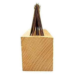 Sweda Push Broom Head Replacement, Hardwood Block Brush with Wire Bristles, Best for Cleaning Driveways, Patios, Concrete Surface, Pools, 13415-L1890