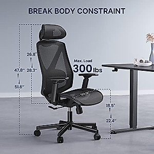 HUANUO Office Chair, Ergonomic Mesh Office Chair, Computer Chair with 2-Way Adjustable Lumbar Support, Headrest and Armrest, High Back Desk Chair with Tilt Lock Function