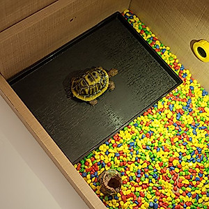 OMEM Reptile Bowl Large Food and Water Dish Also Fit for Bath (L, Black)