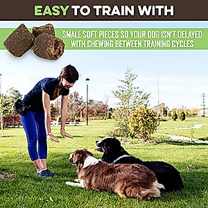 BRUTUS & BARNABY Training Treats for Dogs - Peanut Butter & Apple - All-Natural Healthy Low Calorie Vegan Treat - Great to Use for Rewards in Training Your Puppy Or Dog