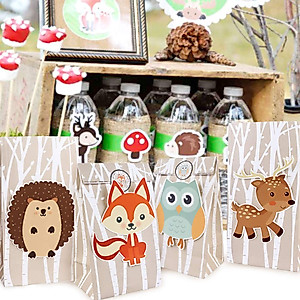 OurWarm 24pcs Woodland Party Favor Bags, 3D Animals Candy Treat Gift Bags with Thank You Stickers for Kids Woodland Animals Theme Baby Shower Birthday Party Decorations Supplies, 6 Styles