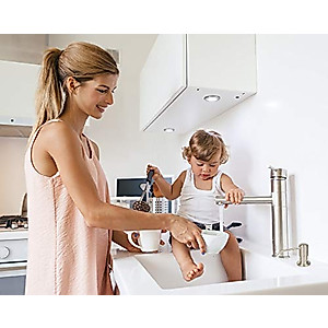 Ultimate Kitchen Built-in Soap Dispenser for Kitchen or Bathroom: Durable Stainless Steel; Fills from top, Large 17oz. Bottle; Long 3 inch Nozzle; Check Valve maintains Prime. Satin Finish