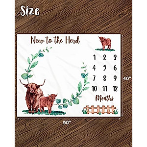 Eunikroko Highland Cow Baby Monthly Milestone Blanket Scotland Photo Prop Blanket with Greenery New to The Herd Cattle Gift Ideas for Newborn Boy Girl Nursery Décor Baby Shower 40" X 50"