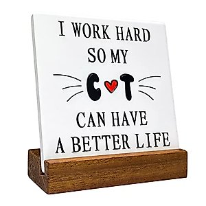 QiCHo Inspirational Sign For Desk, Fun Office Decorations, Gifts For Cat Lovers, Novelty Birthday Gifts, Office Positive Plaque, Xmas Present - I Work Hard So My Cat Can Have A Better Life, With Wooden Stand