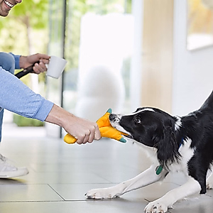 No Stuffing Dog Toys,5 Pack Dog Squeaky Toys Crinkle Plush Dog Toys Set for Puppy Teething, Durable Dog Chew Toys for Small Medium Dog,Cute Holiday Pet Toys for Playing Training Reducing Boredom