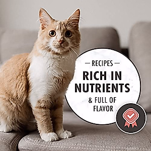 NUTRO WHOLESOME ESSENTIALS Adult Natural Dry Cat Food Salmon & Brown Rice Recipe, 3 lb. Bag