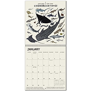 High Note 2024 Monthly Wall Calendar Planner, 16-Month Art Calendar: September 2023 - December 2024, 11" x 12" - Orders of The Animals