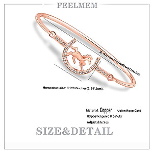 FEELMEM Elegant Pave Cubic Zirconia Lucky Horseshoe with Horse Charm Bangle Bracelet/Necklace Horse Shoe Lover Jewelry for Women (BC)