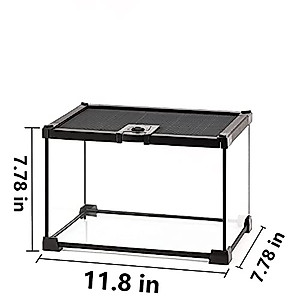 PetWoW 3 Gallon Mini Reptile Glass Tank - 12" x 8" x 8" Full View Natural Terrarium for Reptile, Amphibian, Turtle, Lizard, Snake and Frog