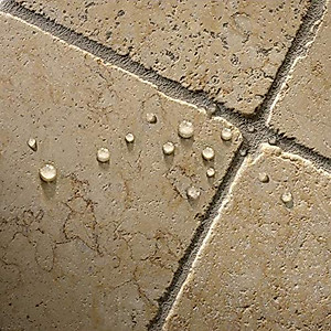 Aqua Mix Sealer's Choice Gold Quart, 32 Ounce