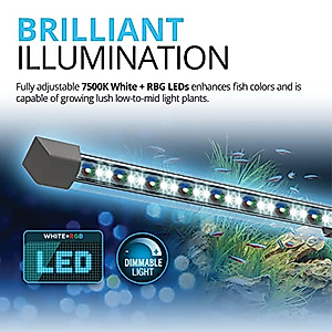 Fluval Flex Aquarium Kit, White, 9 Gallon