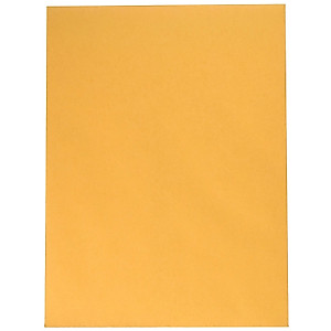 100 9 X 12 Self Seal Golden Brown Kraft Catalog Envelopes - Designed for Secure Mailing - Oversize Strong Peel and Seal Flap with 28 Pound Kraft Paper- 100 Envelopes