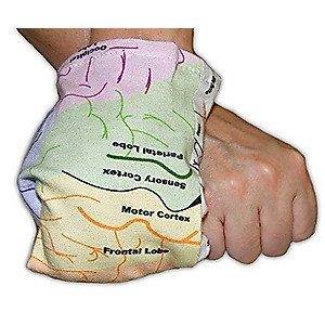 Handy Brain Model B-2 (large)