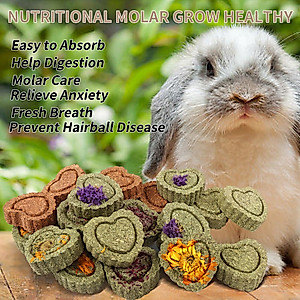 YAODHAOD 20PCS Bunny Chew Toys, Small Animal Natural Timothy Grass Cake Chew Molar Toys for Rabbits Bunnies Guinea Pigs Hamsters Gerbils and Other Small Animals Pet Treats Toys (Grass Biscuit)