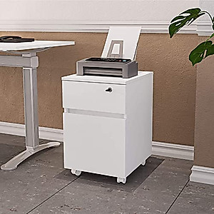 Boahaus Osaka File Cabinet, 2 Drawers, 4 Plastic casters