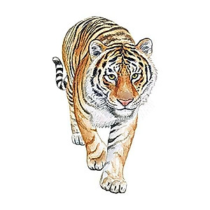 CozyDecor Tiger Wall Decal for Home Living Room Bedroom Kids Room Play Room, Tiger Decorations