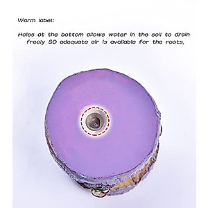 Desktop cute cartoon 3 little black bear resin fleshy flower pot with tray bonsai cactus flower pot vase holder decoration with drain holeLittle black bear