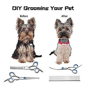 SCEDREAM Dog Grooming Scissors for Dogs with Safety Round Tips, 5 in 1 Dog Scissors for Grooming, Curved Dog Grooming Scissors,Professional Pet Grooming Shears Set for Dogs and Cats