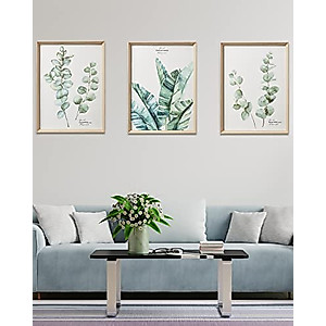HesenDot Framed Wall Art，Botanical Prints for Bedroom, Minimalist 3 Piece Wood Art Wall Decor Aesthetic, 16x12in High Frame Design Prints Flower Green Eucalyptus Leaf Artworks, MDF Framed Poster for Kitchen, Bathroom, Bedroom Set of 3