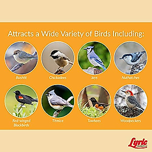 Lyric Chickadee Wild Bird Seed - Sunflower & Nut Premium Bird Food Mix for Chickadees, Nuthatches & Titmice - 20 lb bag