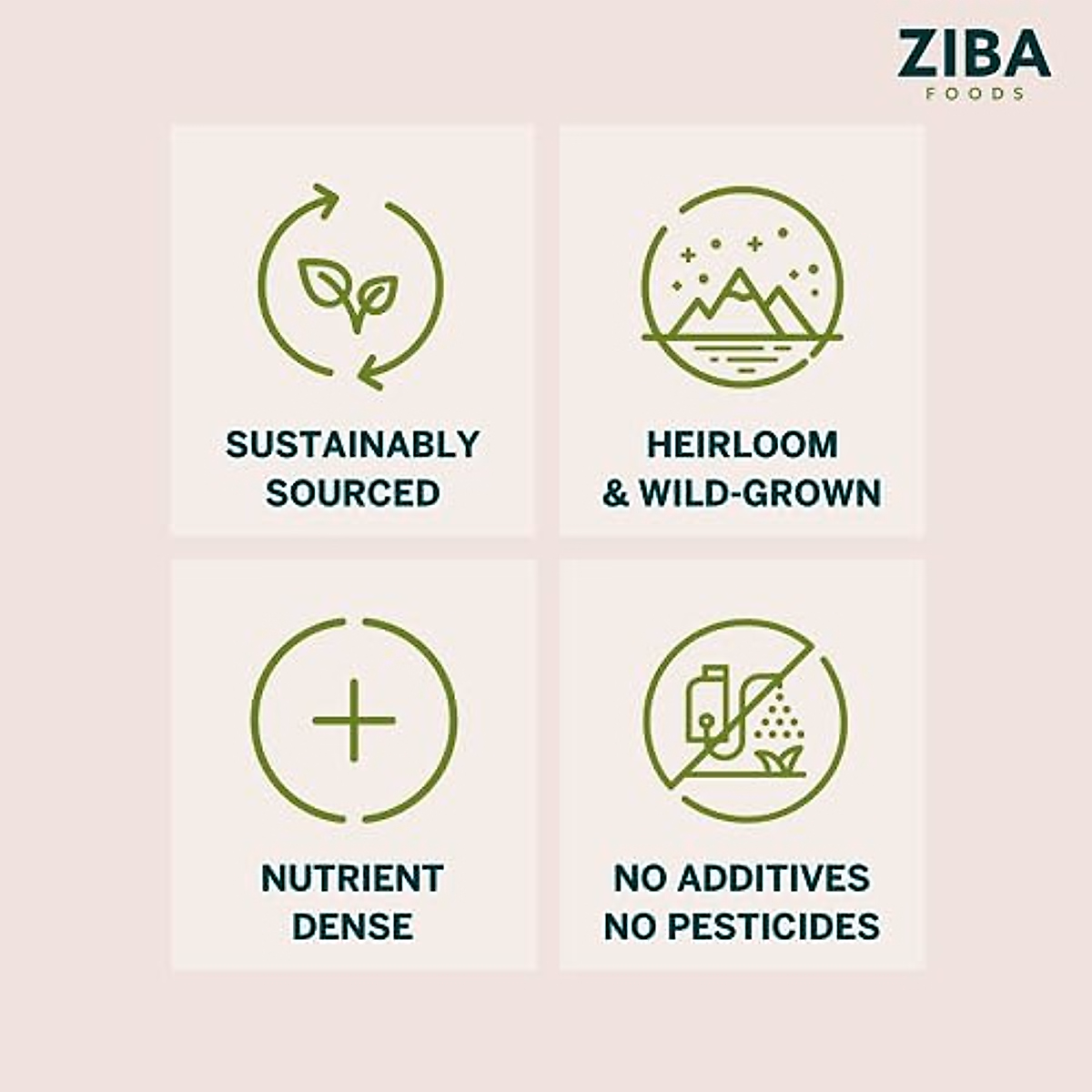 Ziba Foods Trail Mix - Sweet Apricot Kernels, Mulberries, Raisins, Almonds & Pistachios - Non-GMO, Vegan, Whole 30 Friendly & Paleo - High in Fiber, Iron & Antioxidants - Sweet & Savory, Pack of 6