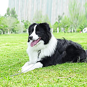 XiaZ 50 ft Dog Tie Out Run Trolley Cable, Pet Heavy Duty Reflective Dog Leash Lead Runner for Large Dogs Up to 250 Pound Silver