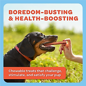 Trusty Paws Beef Collagen Sticks for Dogs - One Ingredient Collagen Chews - USA Beef Collagen Dog Chews Long Lasting - 10oz Bag, 15 Collagen Chew Sticks for Dogs