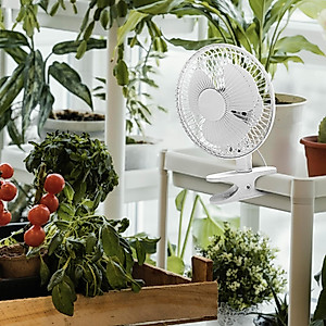 JOEY'Z 6 INCH - 2 Speed - Adjustable Tilt, Whisper Quiet Operation Clip-On-Fan with 5.5 Foot Cord and Steel Safety Grill (2, 6" Fan with 5 FT Cord)