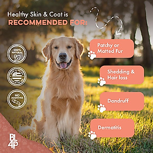 Natural Skin & Coat Supplement for Dogs, Large and Small - Dog Anti Itch Relief for Dry Skin, Rash, Allergy or Irritation - Reduces Shedding, Dandruff and Supports Dog Hair Growth - 400 Small Pills
