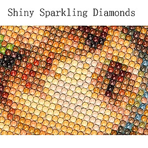 JFYHAB 5D Diamond Painting Kit for Adults Beginner, Dogs Full Drill Diamond Art Rhinestone Painting with Diamonds Pictures Arts and Crafts for Home Wall Decor 12 x 16 inch