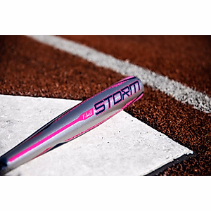 Rawlings | STORM T-Ball Bat | USA Softball & Baseball | -12 Drop | 24" | Silver/Pink
