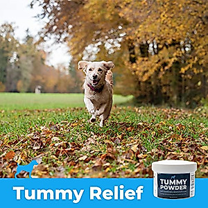 Tummy Powder for Dogs and Cats | Anti-Diarrheal Bentonite Clay Powder | Gas Relief | Stool Firmer | Detox | Anti-Diarrhea | Calcium and Other Minerals | Natural from The Earth | by Blue Dog Pet