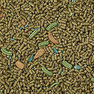 Kaytee Forti-Diet Pro Health Food for Pet Guinea Pigs, 5 Pound