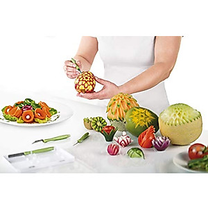 Tescoma 422010.00 Set of carving knife tools, for vegetables and fruits