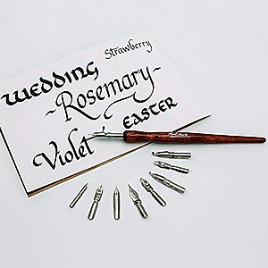 Mont Marte Signature Calligraphy Dip Pen Set, 9 Nibs, Includes Wooden Dip Pen Handle, Interchangeable Nibs, Suitable for All Calligraphic Writing Styles