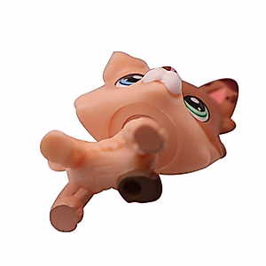 lpsloverqa Butter Collie Yellow and Brown 2 Different Eyes Erect Ears Custom Made OOAK Pets with Accessories Lot Dog Figures Collection Boys Girls Kids Gift Set (Butter Yellow)