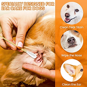 200 PCS Large Cotton Swabs in Storage Box - Dog Ear Cleaning Swabs, 6 inch Dog Ear Swab with Bamboo Handle - Big Cotton Swabs Soft and Thick, Extra Large Cotton Swabs Specially Designed for Pet Care