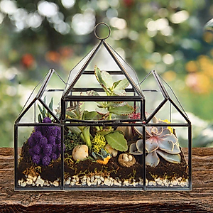 D'Eco Glass Castle Plant Terrarium (10x4.5x9) - Indoor Tabletop & Hanging Black Geometric Planter - Succulents, Air Plants, Moss, Fern - Home Garden Office Decor - Holiday (No Plants)
