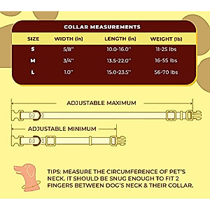 Perri’s Print - Pink Floyd Prisms Buckle Collar for Pets, Polyester Pet Collars, Adjustable Dog Collars for Medium Dogs and Puppies, 3/4 x 13.5-22 Inches, Medium