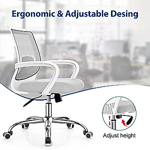 PPW Office Chair,Ergonomic Dual Backrests,Desk Chair Back Support, Best Office Chair for Posture, Mesh Office Chair,(Cushion is Light Gray)
