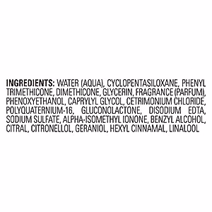 The Good Stuff Weightless Protect Mist Conditioner, 4.7 Ounce