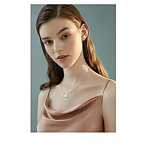 Gold Zodiac Sign Pendant Necklace, 14K Gold Plated Faux Fritillaria Cubic Zirconia 12 Constellation Necklace Jewelry Birthday Gifts for Women, (Taurus Apr 20-May 20)