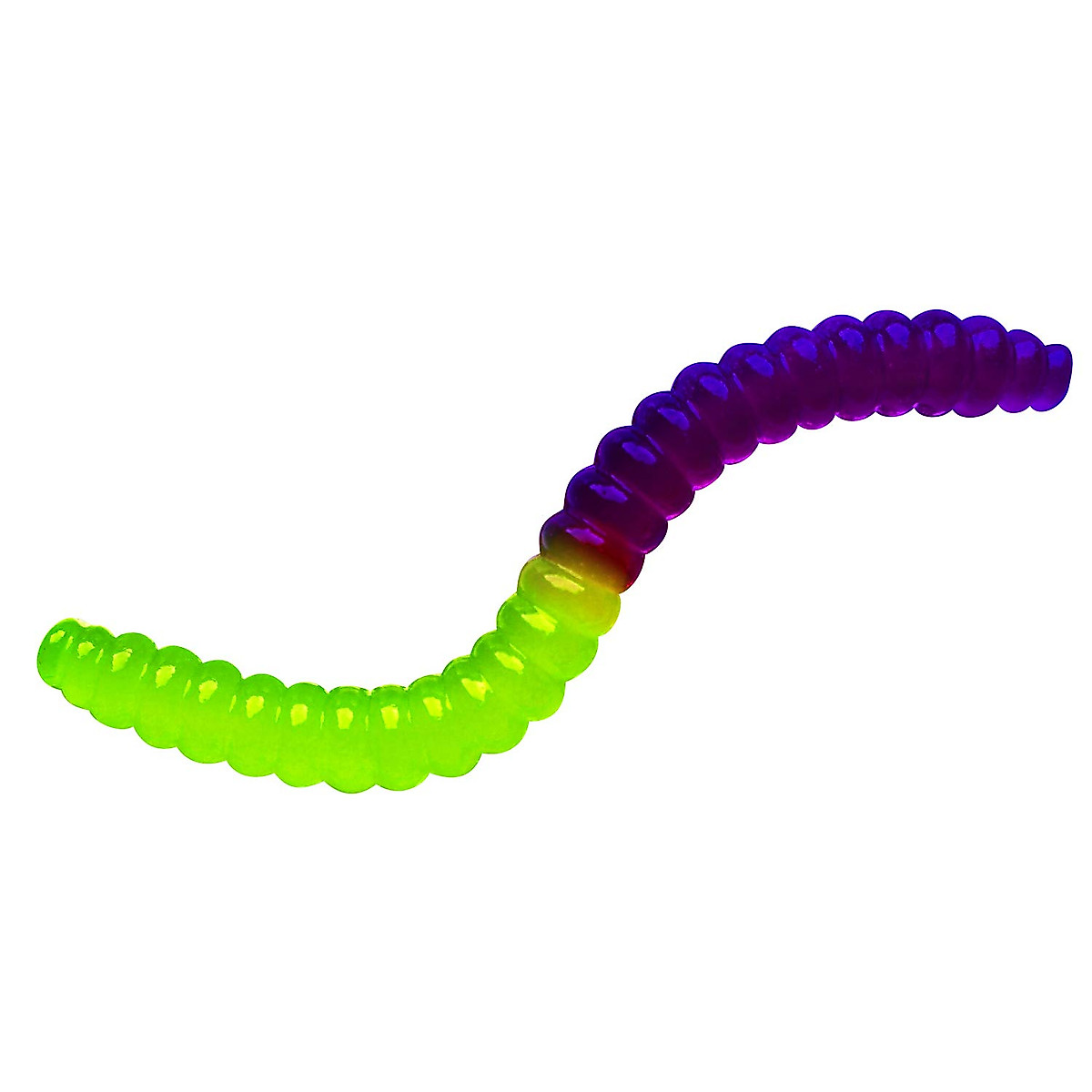 Gross Gummy Candy Lab - Worms & Spiders! Sweet Science STEM Experiment Kit, Make Your Own Plant-Based Gummy Candies in Cool Shapes & Colors | Learn Chemistry | Looks Gross, Tastes Great