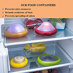 WREAGD Reusable Fruit Vegetable Storage Box Container with Lids for Fridge (Set of 4)