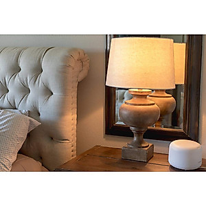 Sylvania 10214 40-Watt A15 Clarity Incandescent Light Bulb (2-Pack)