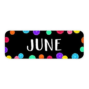 Creative Teaching Press Pom Months of the Year (8763)