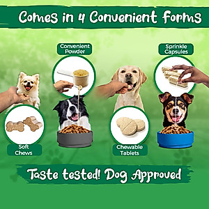 Vital Planet - Flora Dog Probiotic Chewable Tablets Supplement with 20 Billion Cultures and 10 Strains, High Potency Immune and Digestive Support Probiotics for Dogs, 30 Beef Flavored Chewable Tablets