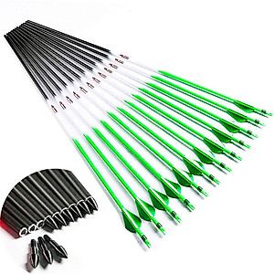 Linkboy Archery Spine 300 340 400 500 600 28inch Carbon Arrows Shaft 2" Vanes Green Recurve Compound Bow Longbow Hunting Shooting 12PCS (Spine 340 28inch)