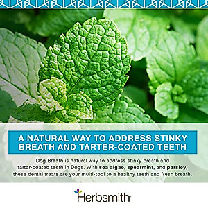 Herbsmith Dog Breath - Dog Dental Care Solution - Natural Dog Breath Freshener That Tackles Tartar - Dental Powder for Dogs - 500g Powder